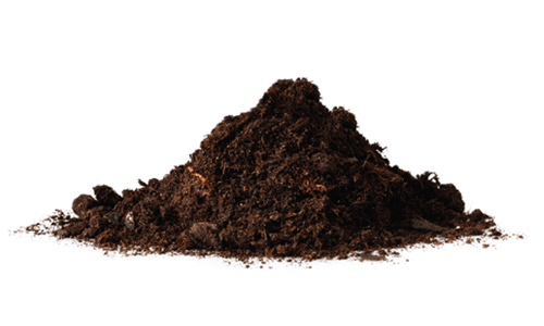 Stone Slinger Services: Free Quote & Consult | Slinger Rental Company